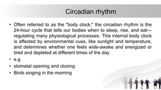 Biological rhythms | PPT