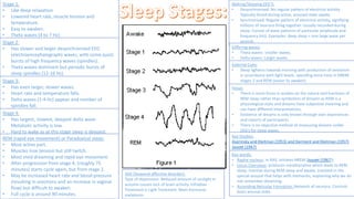 Biological rhythms and sleep | PPTX