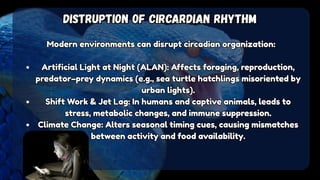 biological rhythms in animals - circardian rhythm.pdf