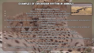 biological rhythms in animals - circardian rhythm.pdf