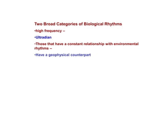 BiologicalRhythmsLectureS1.ppt
