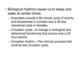 Biological rhythms | PDF