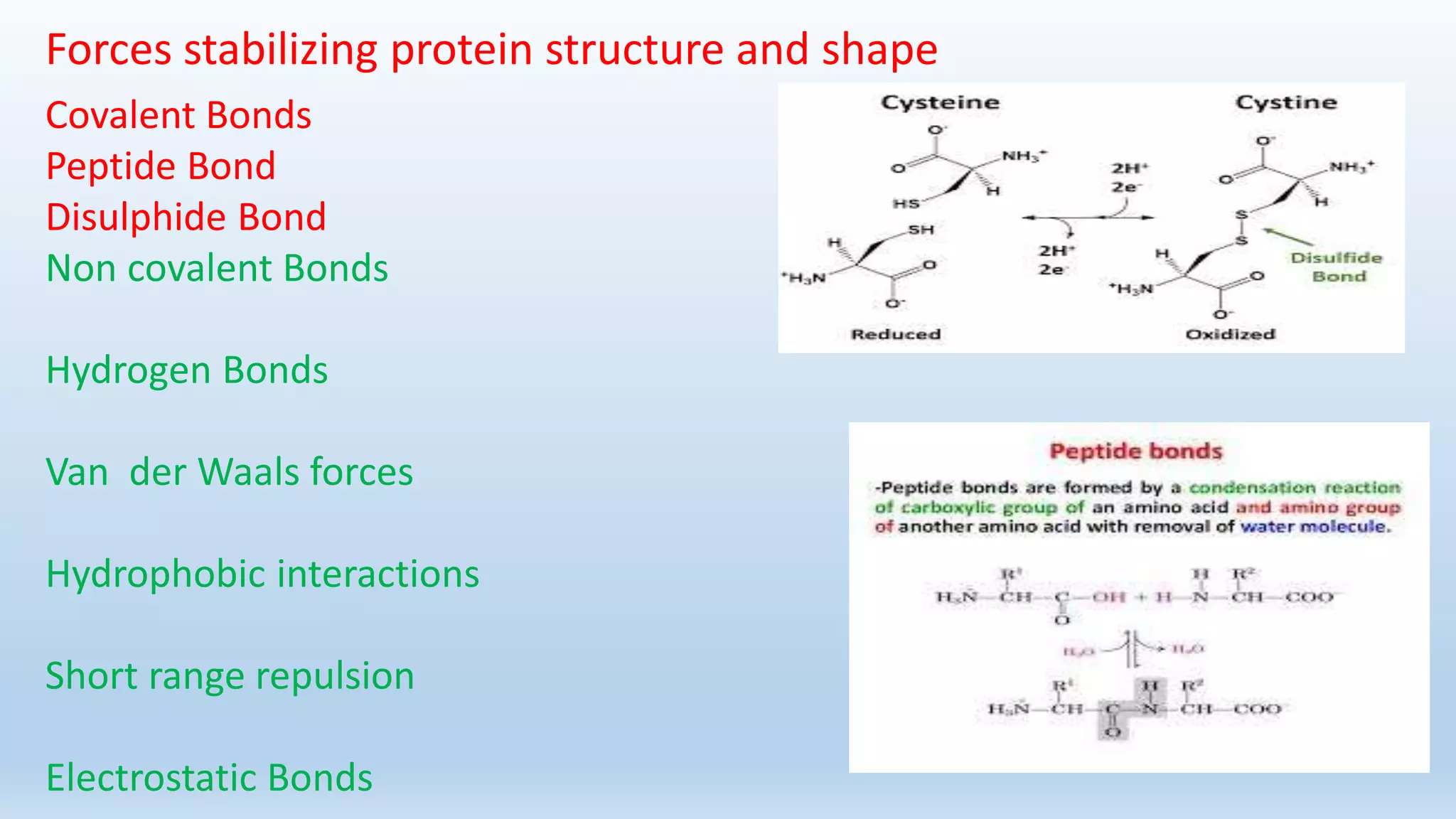 Biological roles of proteins | PPTX