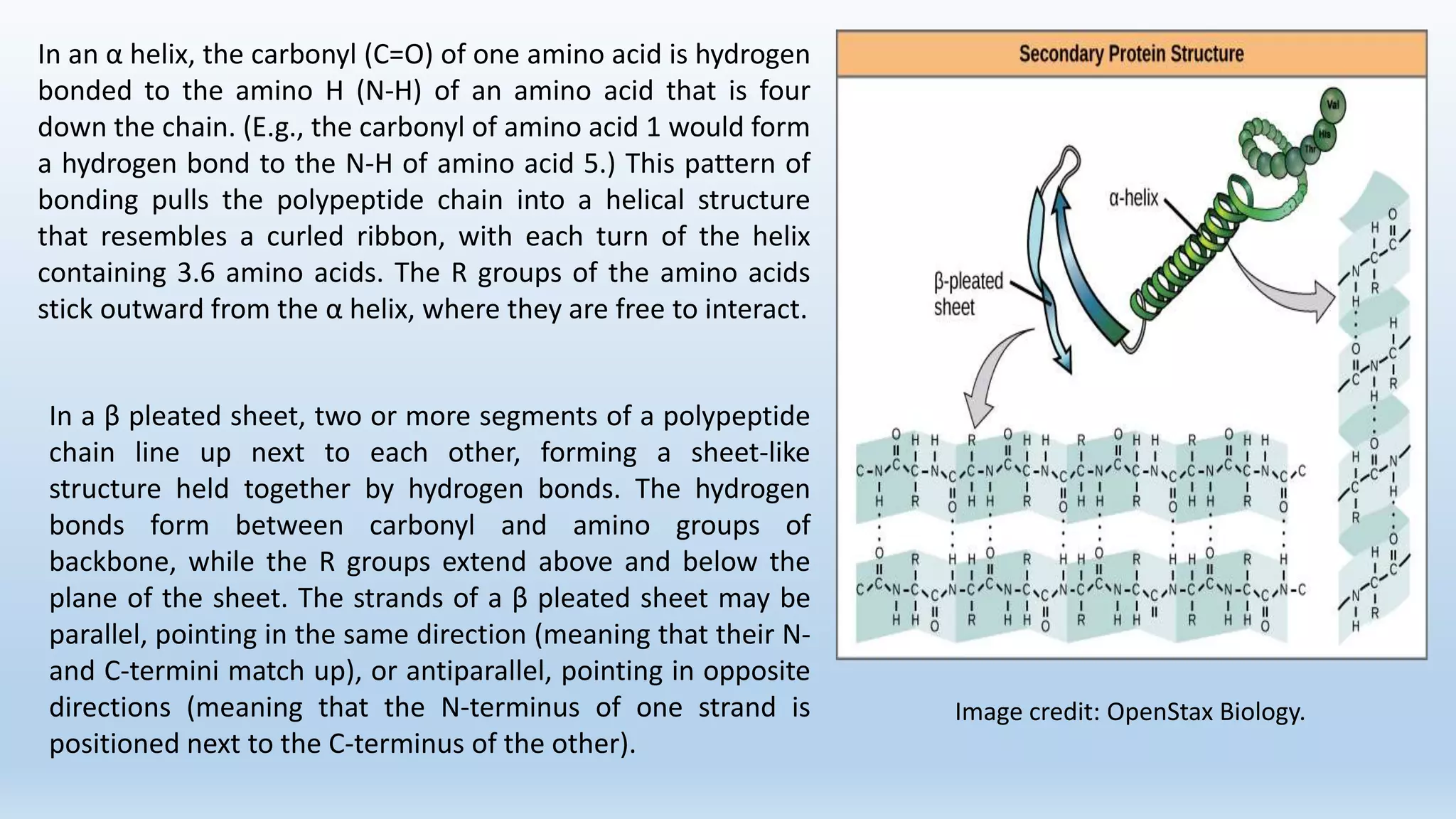 Biological roles of proteins | PPTX