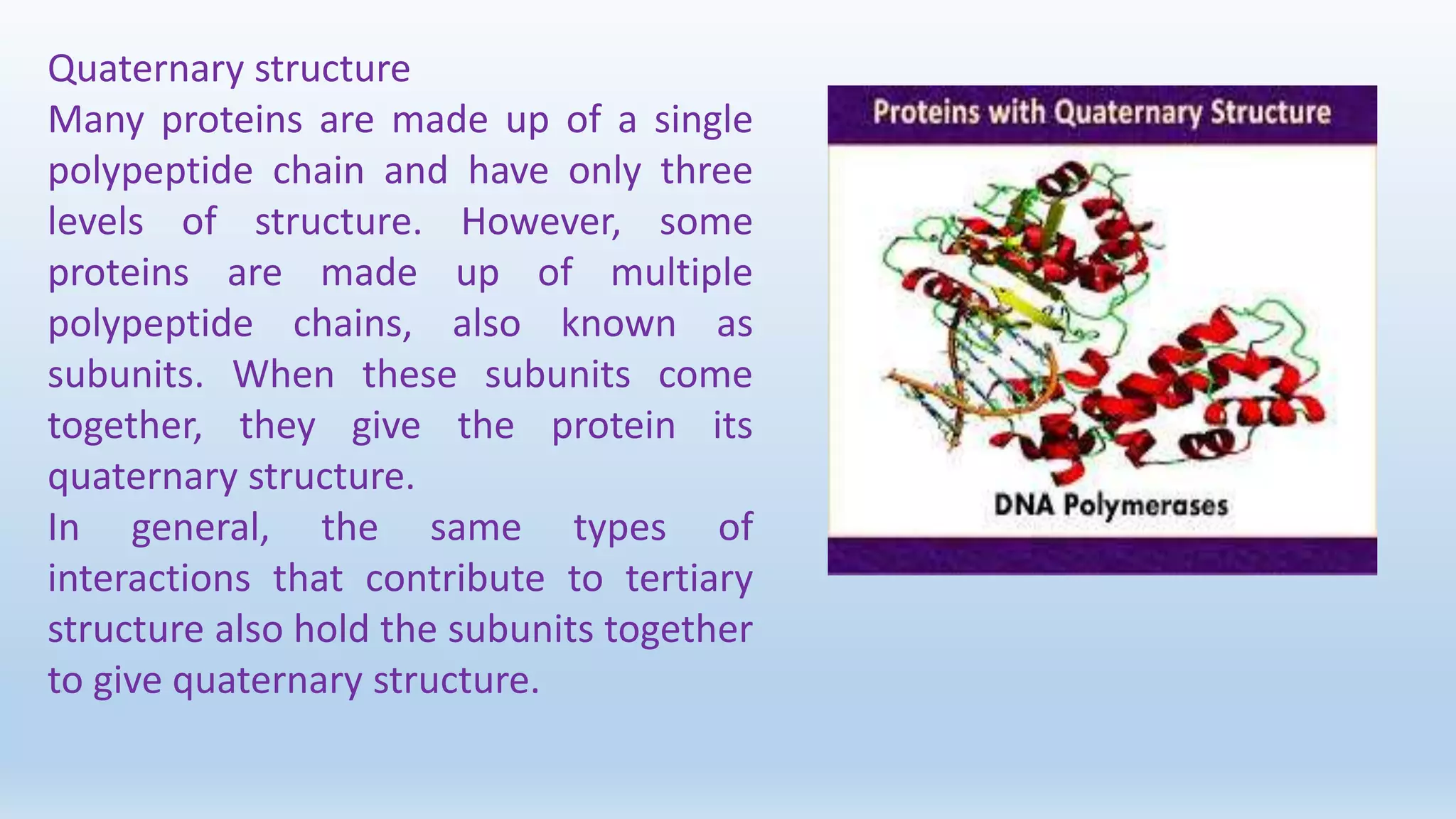 Biological roles of proteins | PPTX