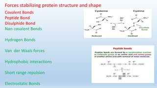 Biological roles of proteins | PPTX