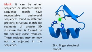 Biological roles of proteins | PPTX
