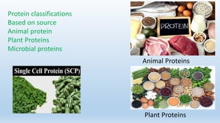Biological roles of proteins | PPTX