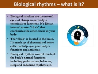 Biological rythm | PDF