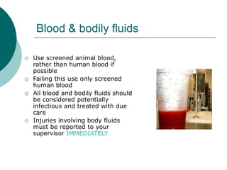 BiologicalSafety.ppt