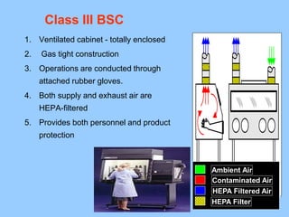 Biological Safety Cabinets-Safety training2.ppt