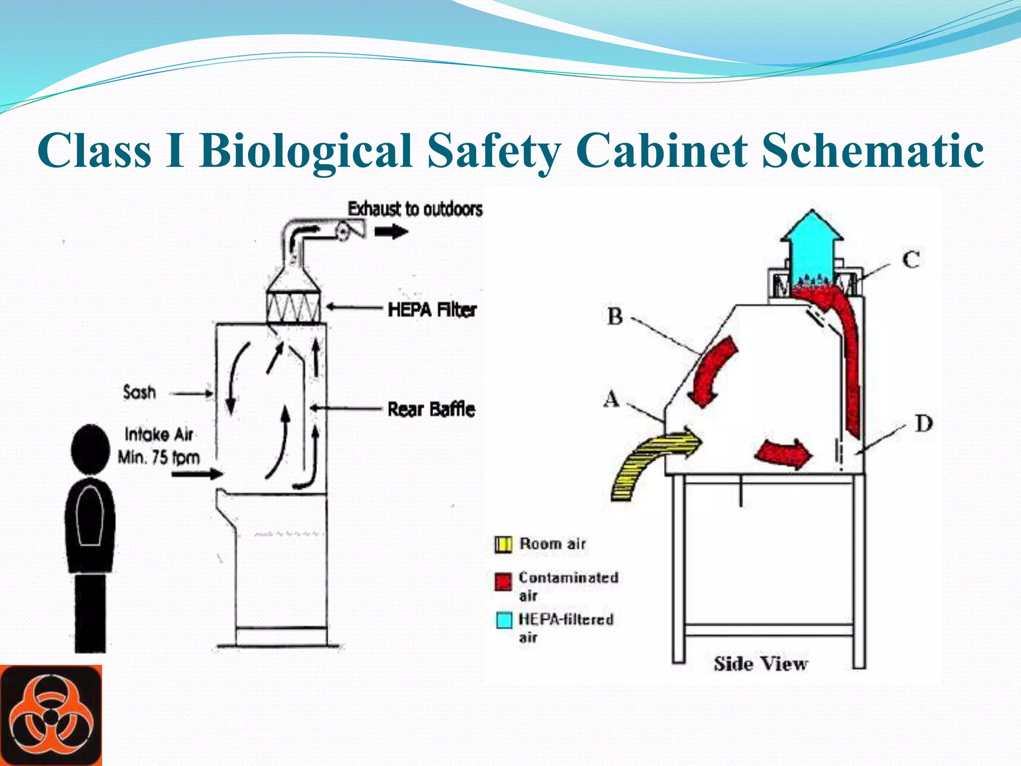Biological safety cabinets and its Use In Culturing | PPTX