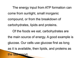 Biological science:Energy-Releasing Pathways | PPT