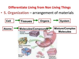 Biological science | PPT
