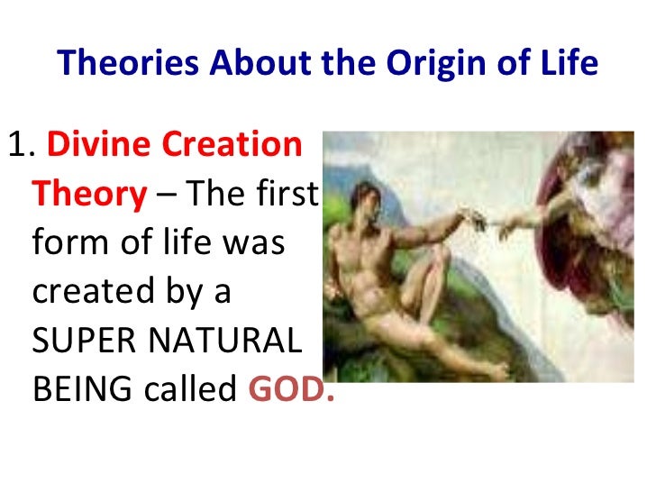Divine Or Special Creation Theory – SECHE