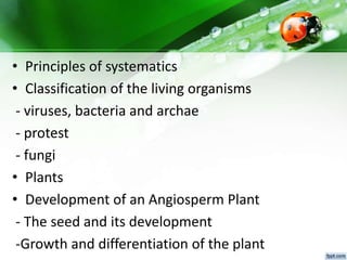 Plants Development | PPTX