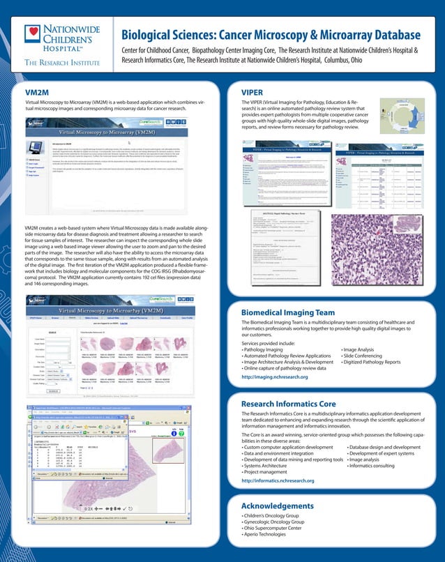 Biological sciences cancer microscopy and microarray database | PDF