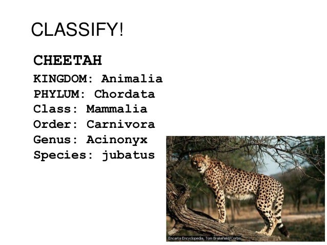 Biological sciences1