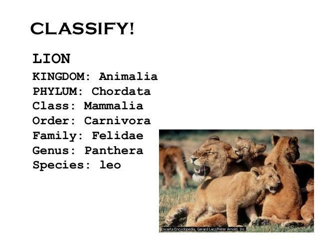 Biological sciences2