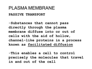 Biological sciences4 | PPT