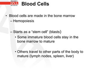 biological screening - blood | PPT