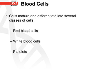 biological screening - blood | PPT