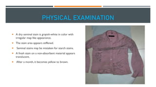 BIOLOGICAL STAINS semen[Forensic Medicine].pdf