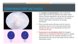 BIOLOGICAL STAINS semen[Forensic Medicine].pdf