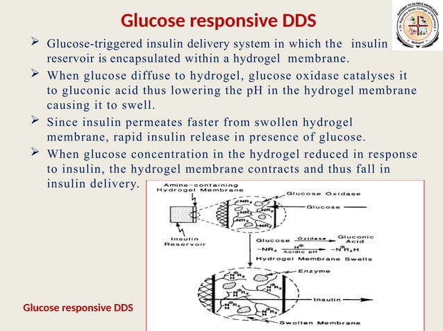 Biological Stimuli Activated Drug Delivery System.pptx
