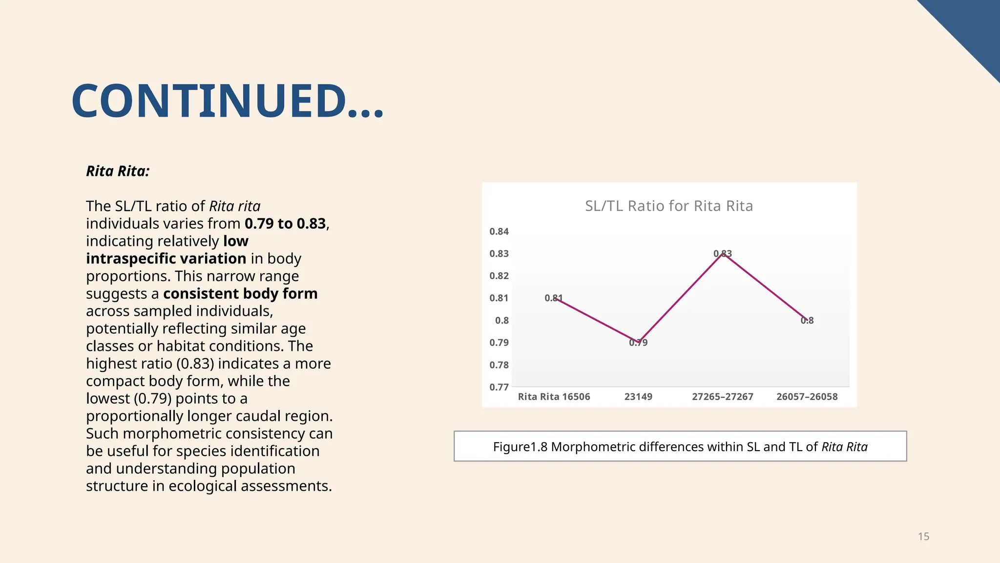 Biological Studies of Few Selected Species of Catfishes.pptx