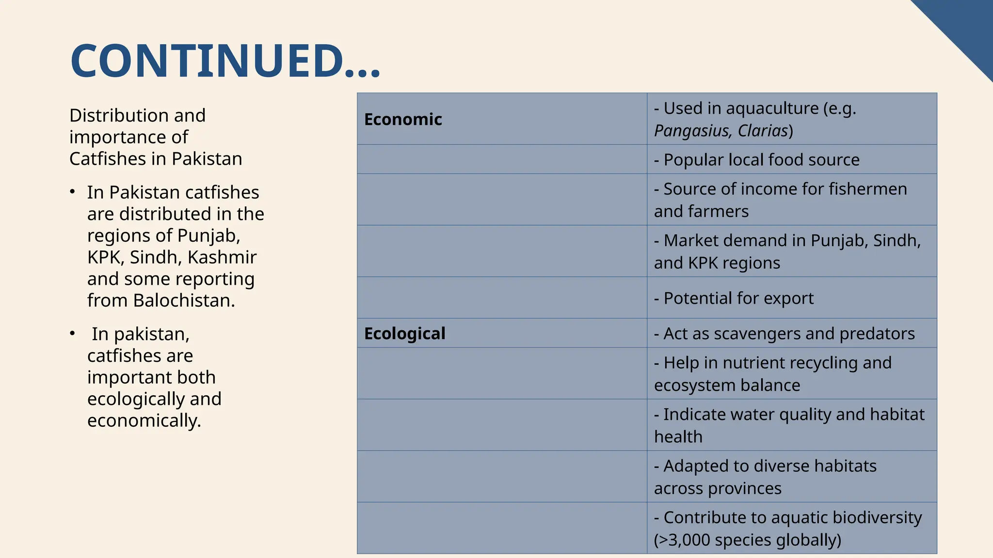 Biological Studies of Few Selected Species of Catfishes.pptx