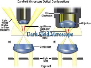Dark field Microscope | PPTX