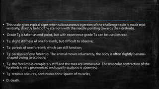 Biological test and assay tetanus toxoid adsorbed | PPTX
