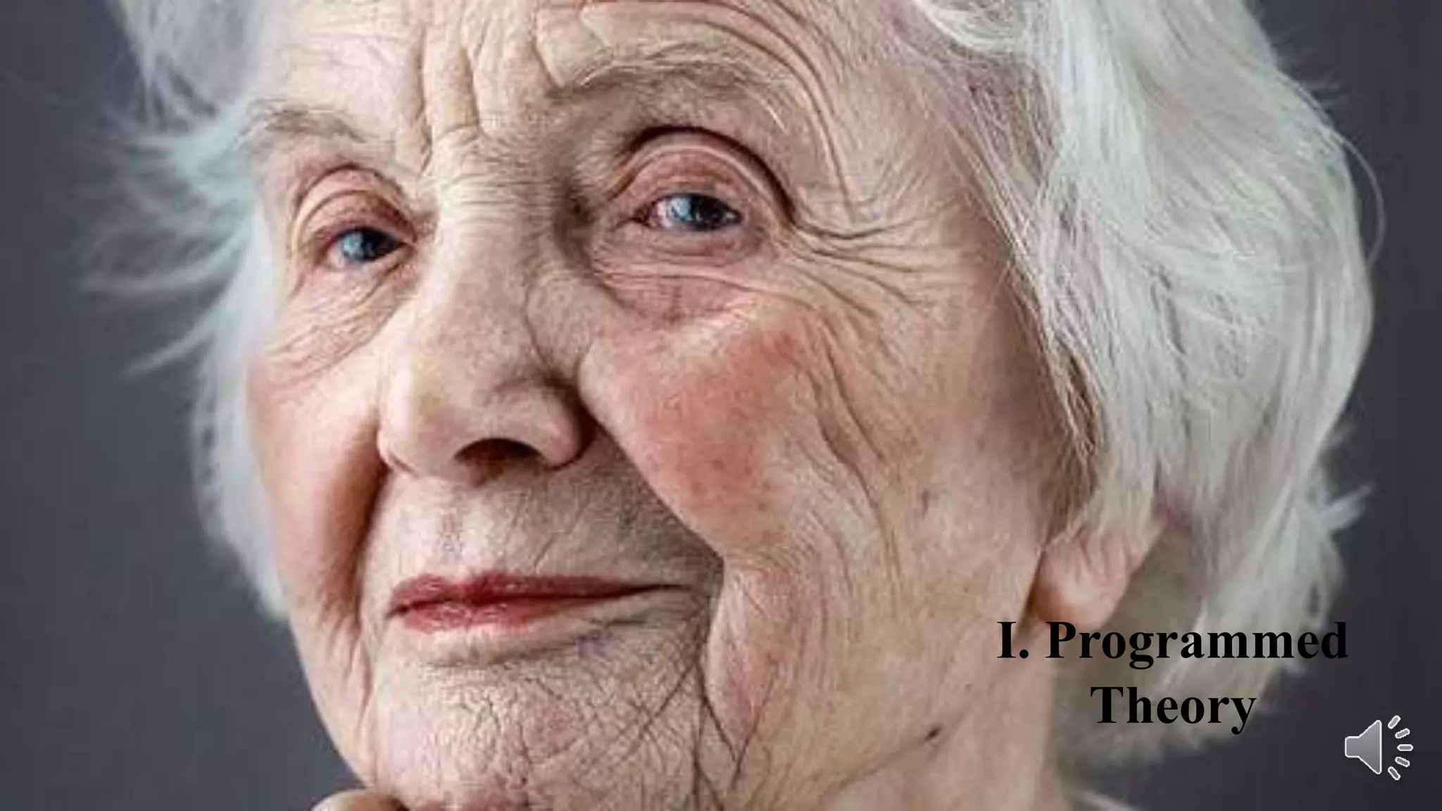 Biological theories of aging | PPTX