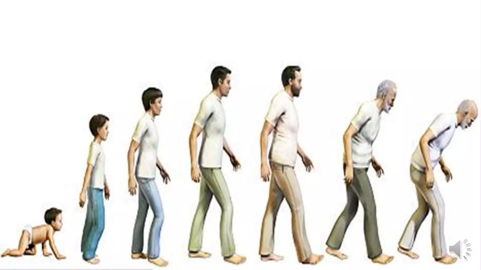 Biological theories of aging | PPTX