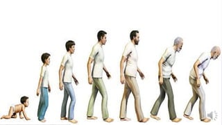 Biological theories of aging | PPTX