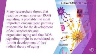 Biological theories of aging | PPTX
