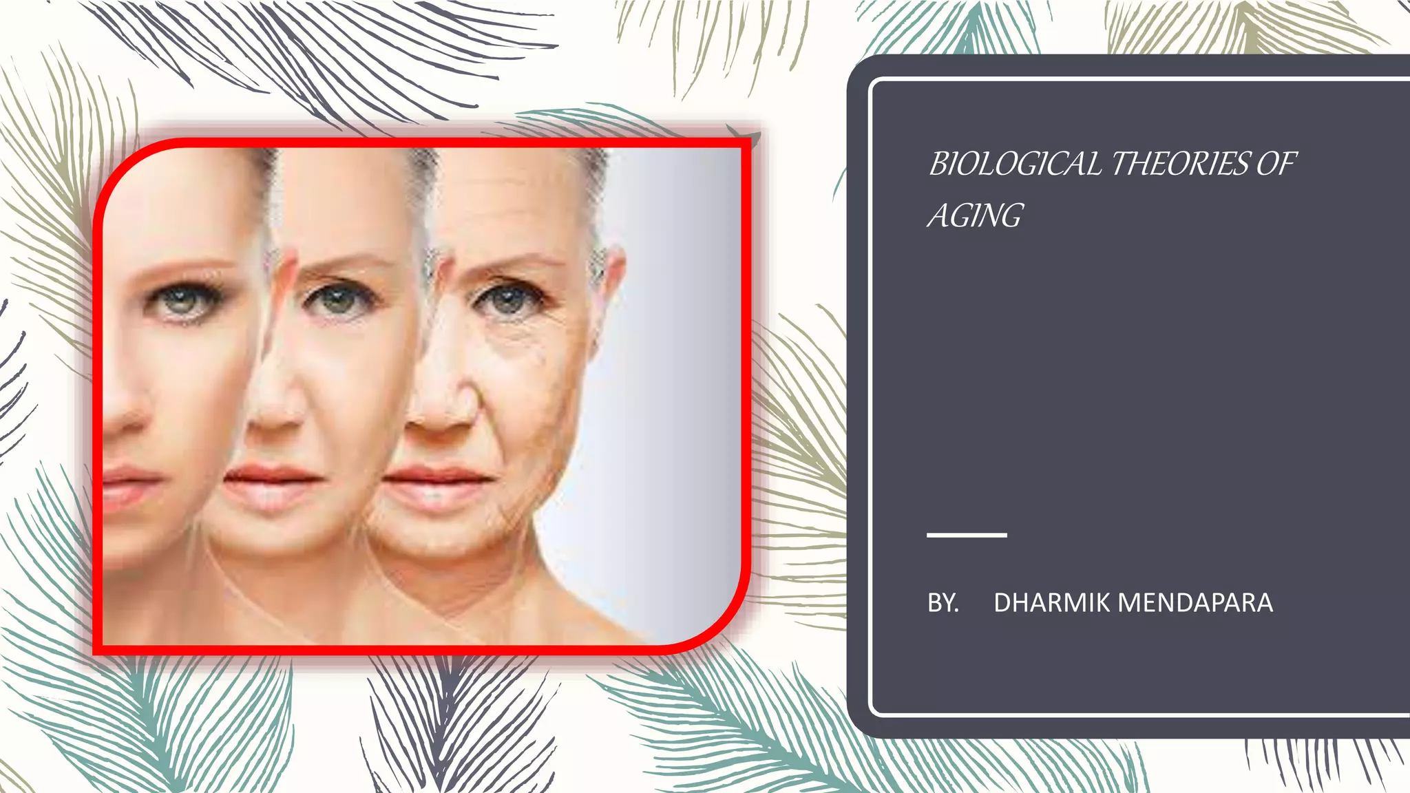 Biological theories of aging | PPTX