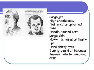 Biological Theories of Crime | PPT