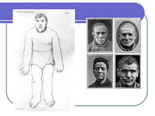 Biological Theories of Crime | PPT