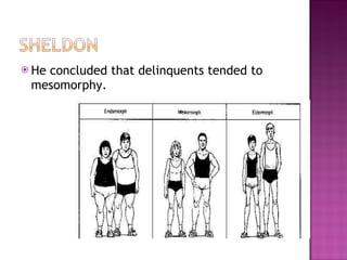 Biological Theories of Crime | PPT