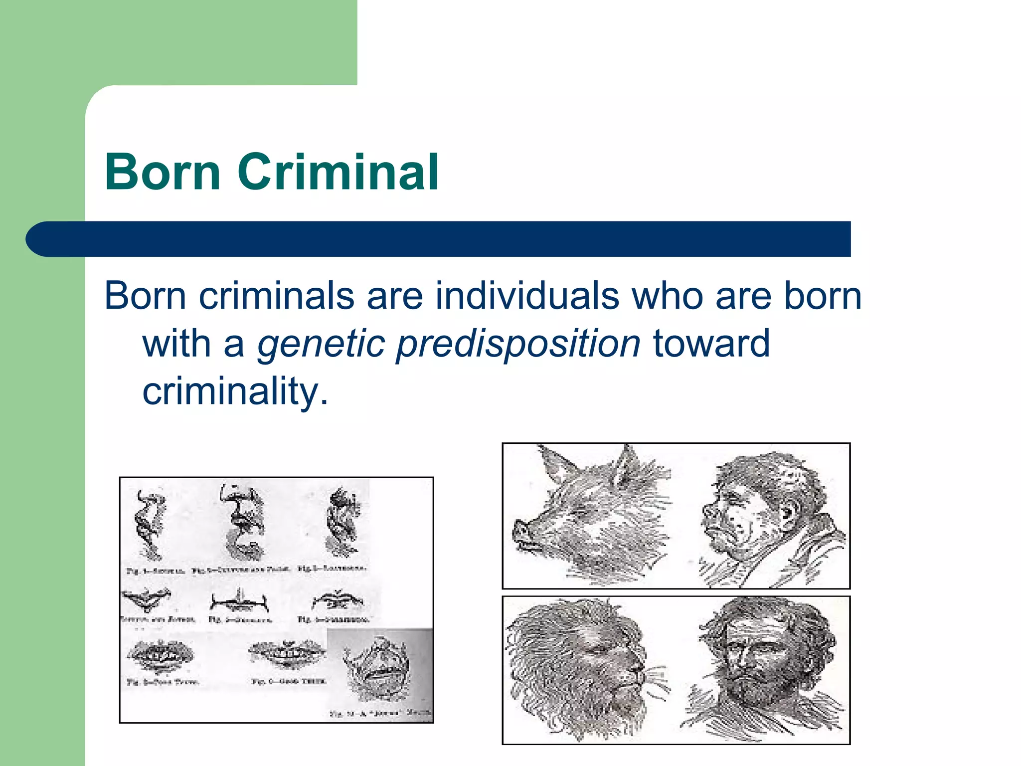 Biological theory | PPT