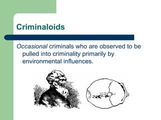 Biological theory | PPT