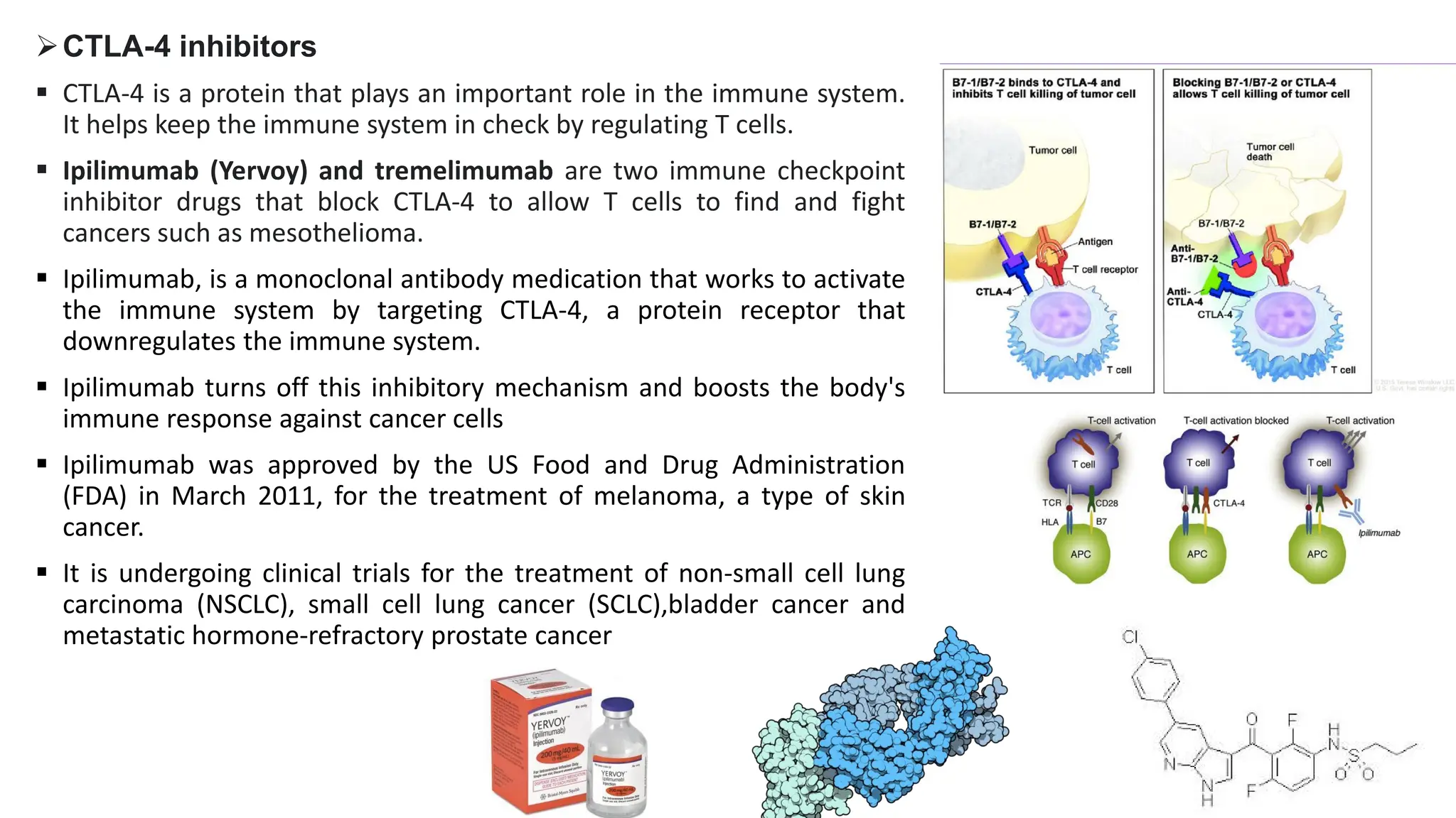 Biological therapy for cancer/ Medicinal chemistry | PDF