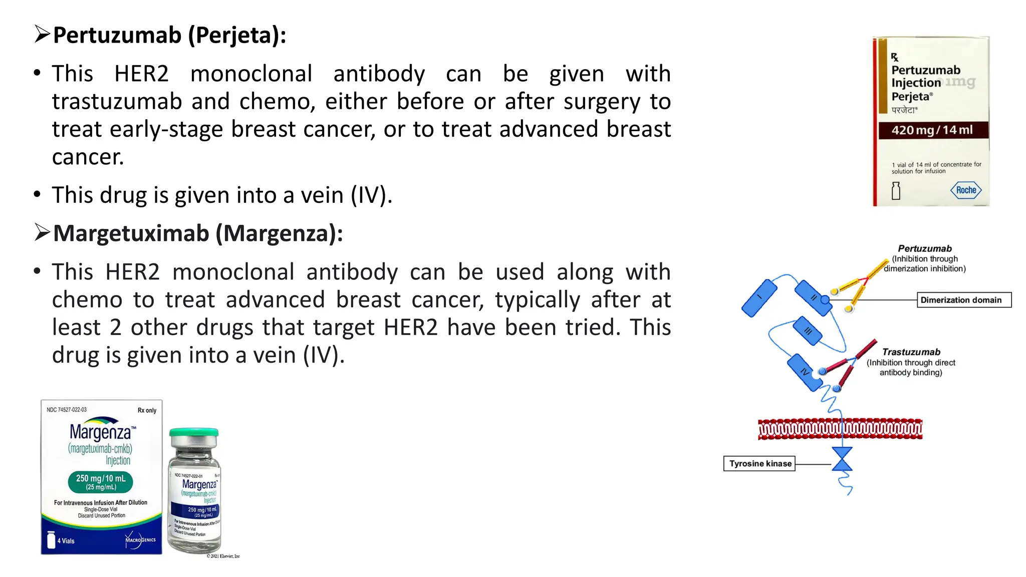 Biological therapy for cancer/ Medicinal chemistry | PDF