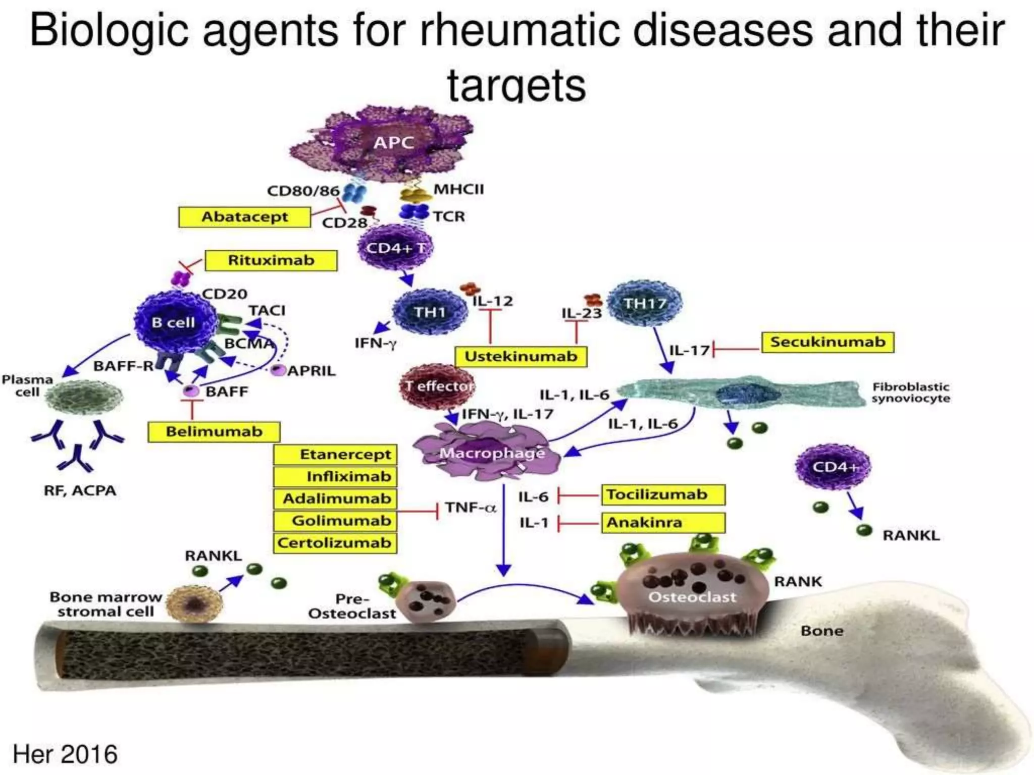Biological therapy in rheumatic diseases | PPTX