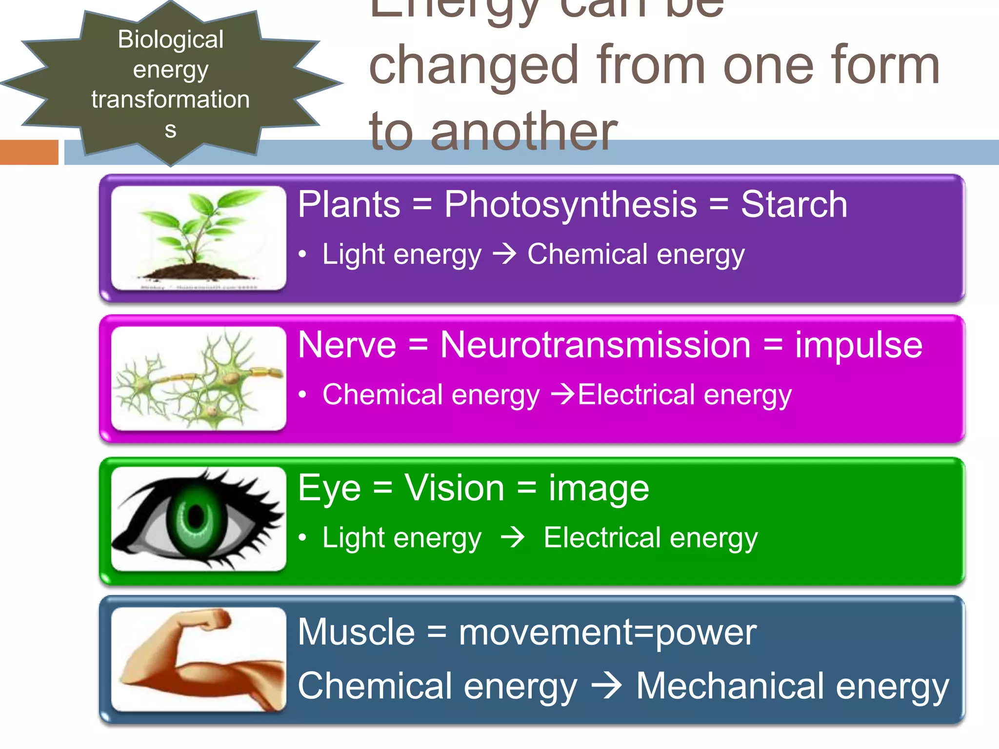 Biological thermodynamics | PPTX