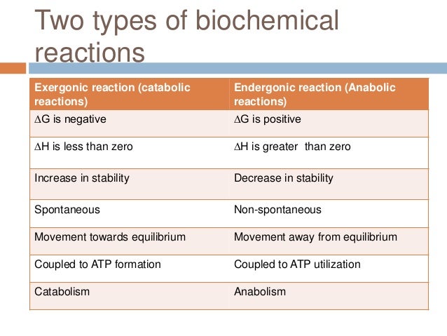 Biological thermodynamics