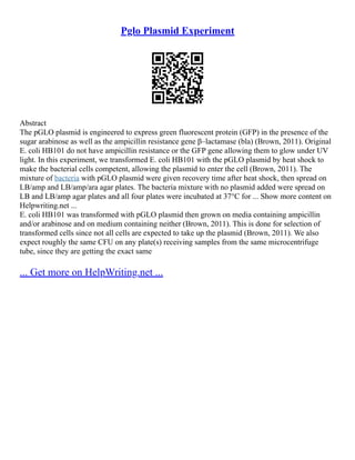Biological Transformation Of Bacteria And Pglo Plasmid Dna | PDF