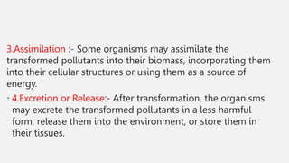biological transformation of pollutants.pptx
